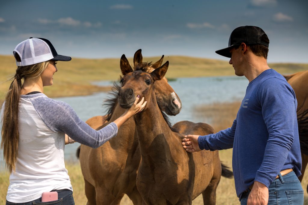 Working Ranch Vacations